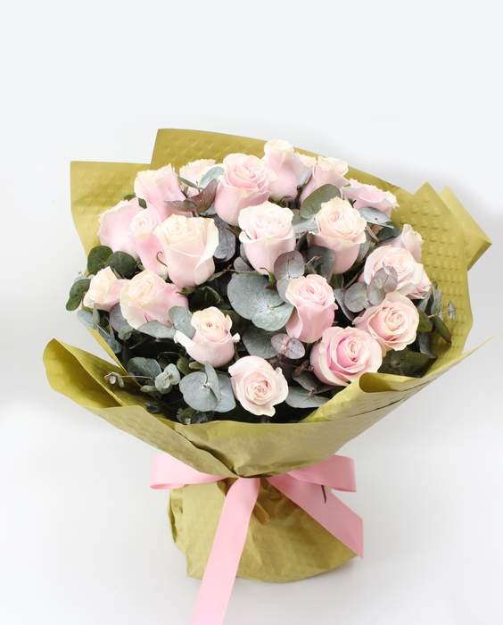 24 American Pink Roses