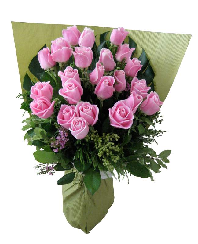 24 Pink Roses