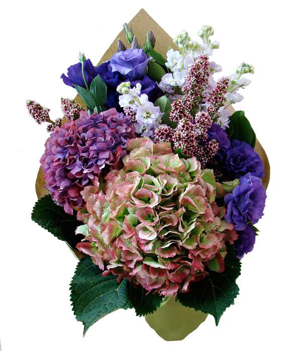 2 Hydrangea Bouquet
